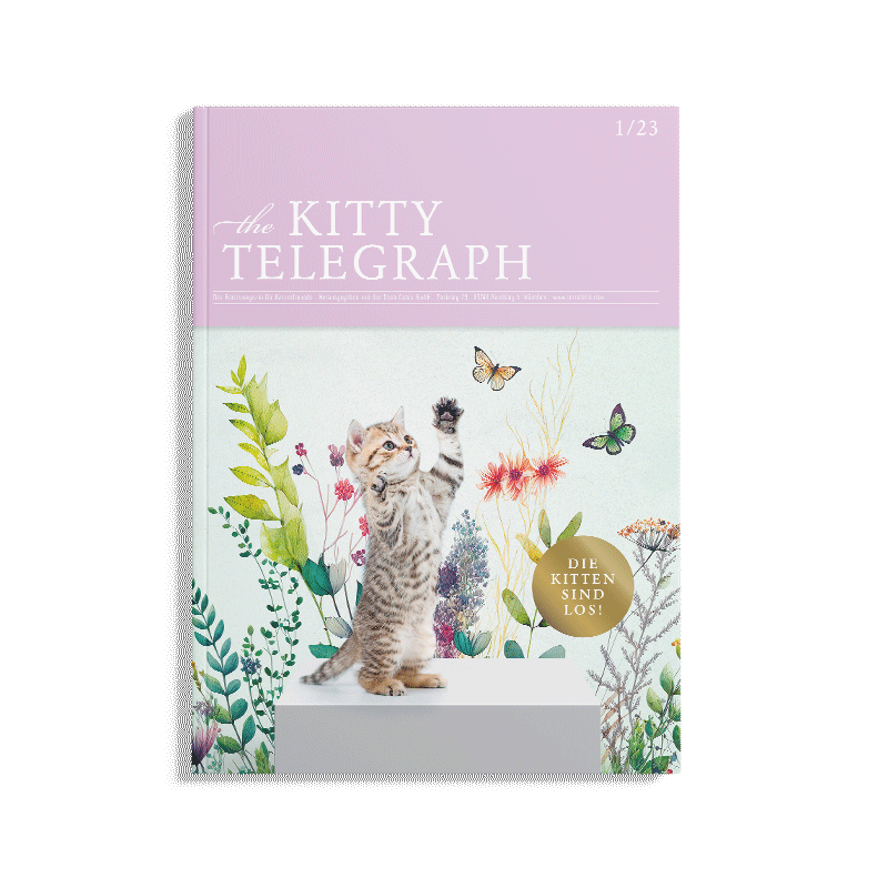 Terra Felis Kitty Telegraph Sommer 2023