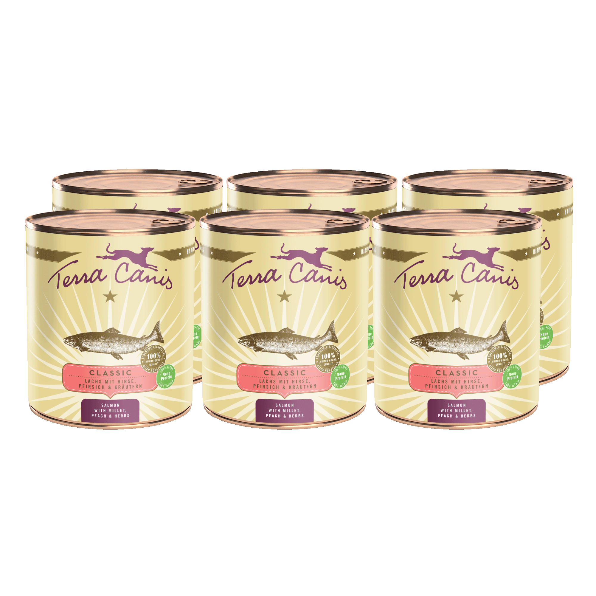 Terra Felis Classic Lachs mit Hirse, Pfirsich und Kräutern